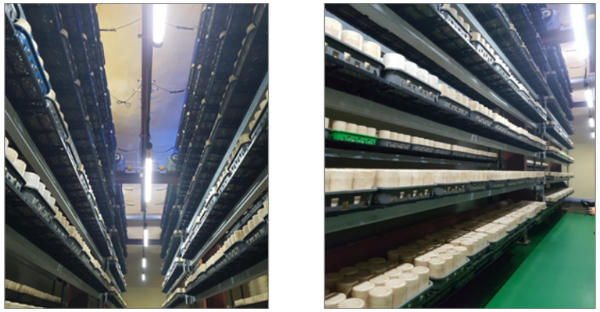 Solution Square : PLC를 이용한 버섯 농장 온도/속도 PID 제어